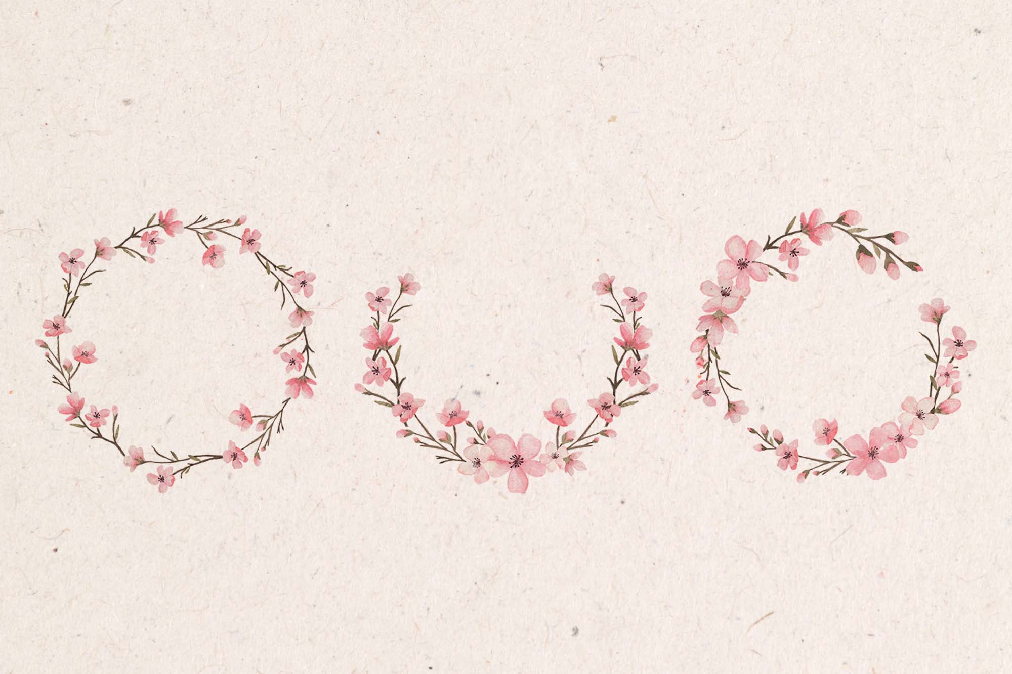 Cherry Blossom Watercolor Design Elements
